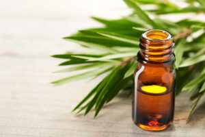 Thirteen Health Uses for Tea Tree Essential Oil: A Comprehensive Guide ...
